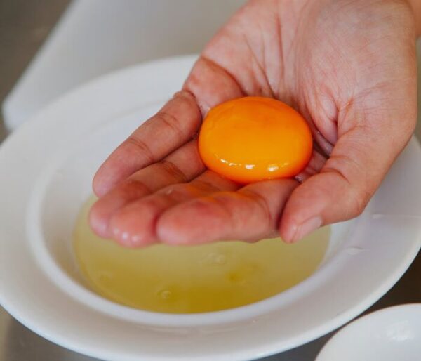 Ovomar - Procesadores de ovoproductos en Venezuela